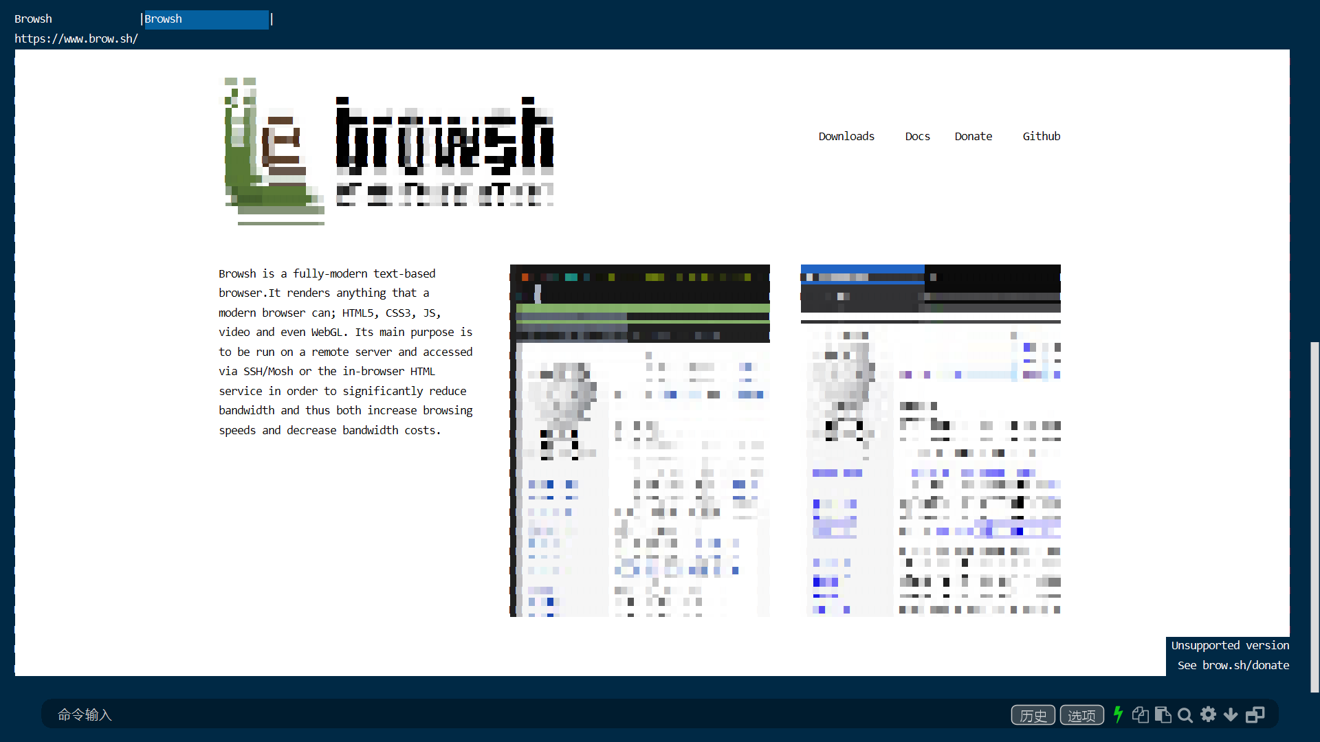 Browsh | 终端里的浏览器 - Tyooe