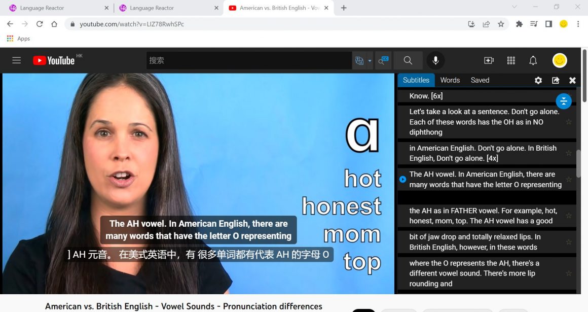 Language Reactor | 通过视频字幕学习新语言 - Tyooe