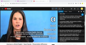 Language Reactor | 通过视频字幕学习新语言 - Tyooe