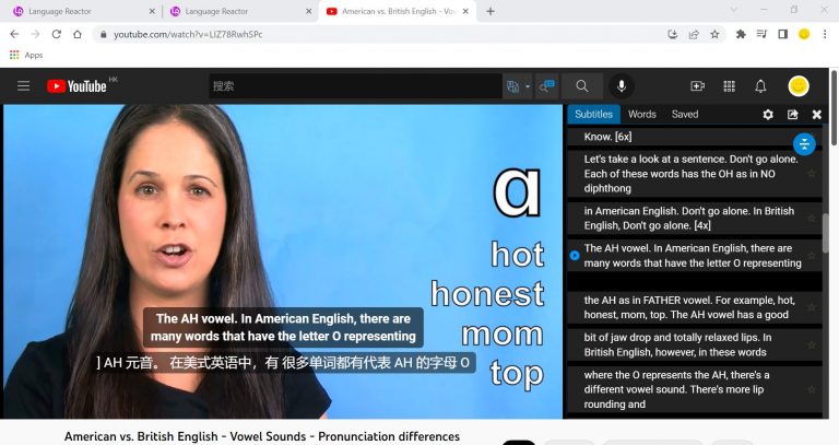 Language Reactor | 通过视频字幕学习新语言 - Tyooe