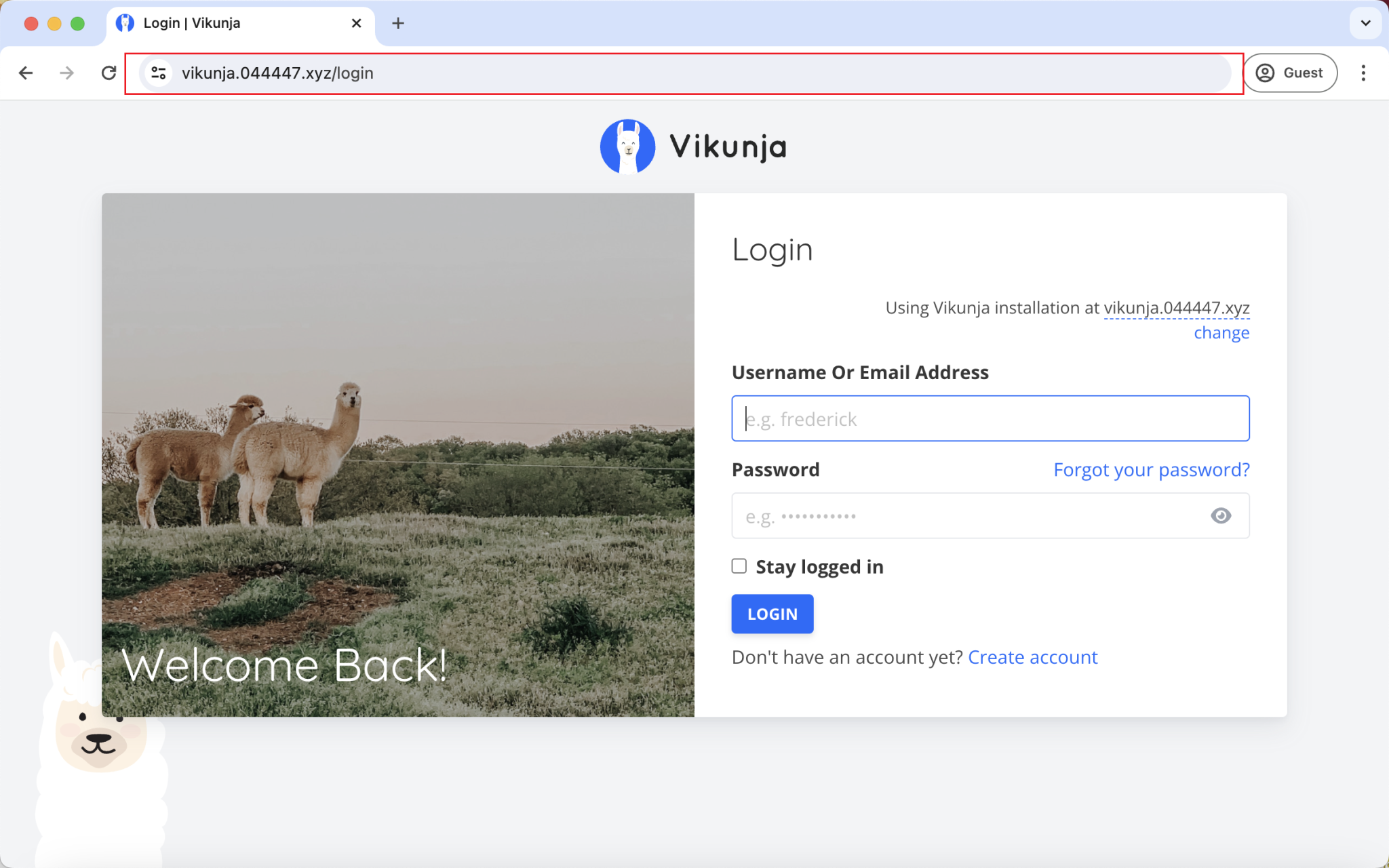 使用 Caddy 进行反向代理 - Tyooe