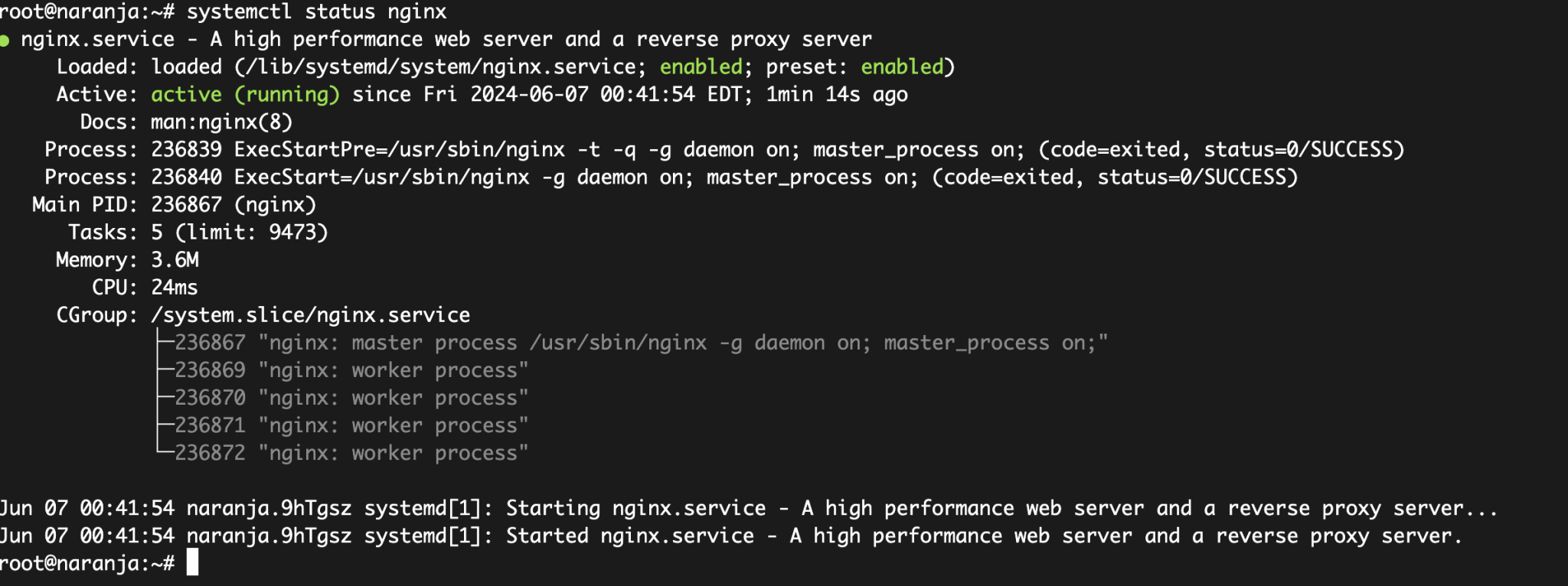 Debian 12 / Ubuntu 24.04 安装 Nginx - Tyooe