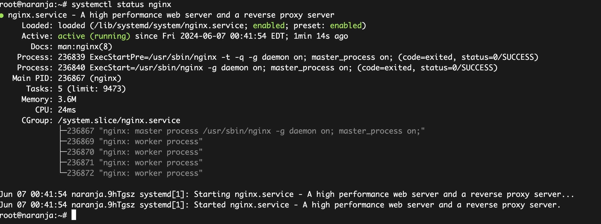 Debian 12 / Ubuntu 24.04 安装 Nginx - Tyooe
