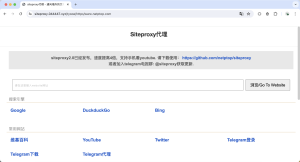 Docker 部署 Siteproxy 网页代理 - Tyooe