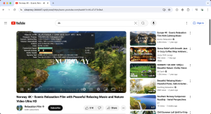 Docker 部署 Siteproxy 网页代理 - Tyooe