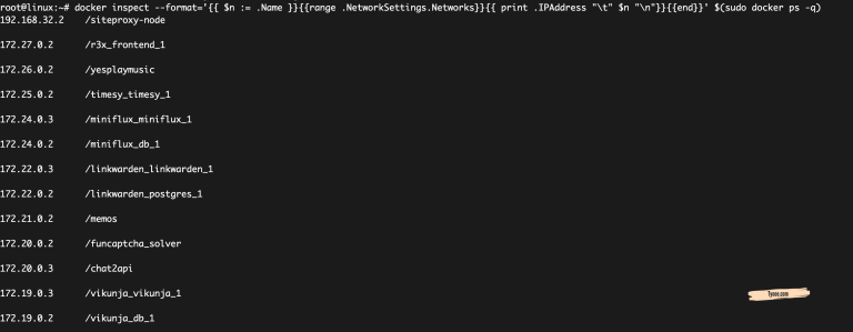 一行命令获取 Docker 容器的本地 IP 地址 - Tyooe